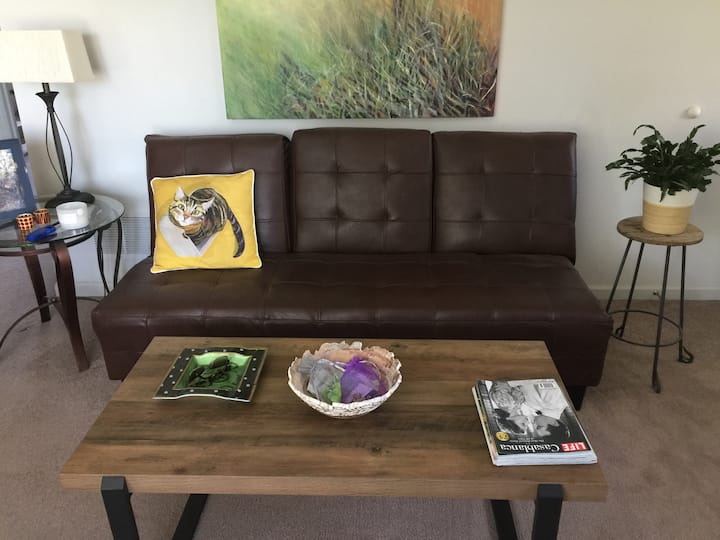 Across From Chautauqua Institute Nice Clean Apt. - Chautauqua, NY