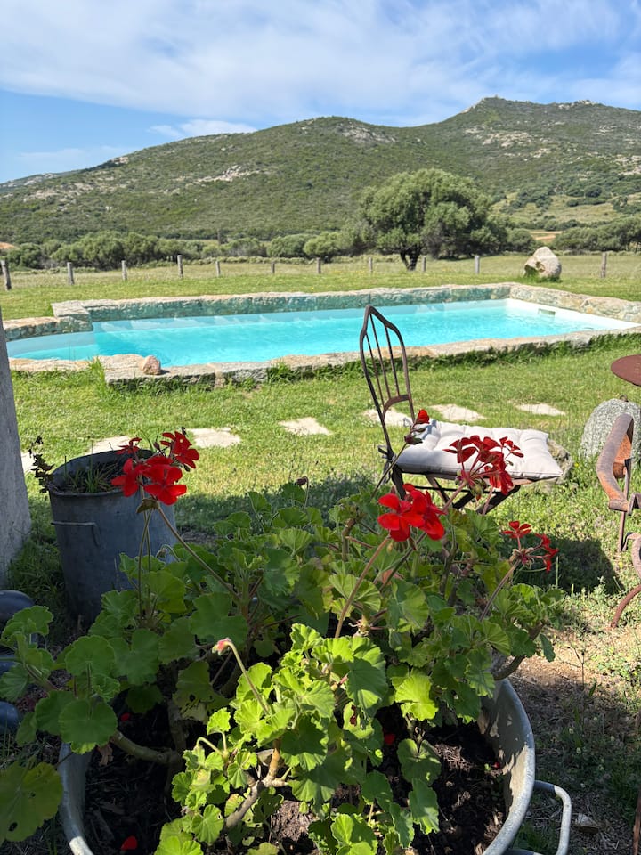 Bergerie De Charme Pedi Lione - Calenzana