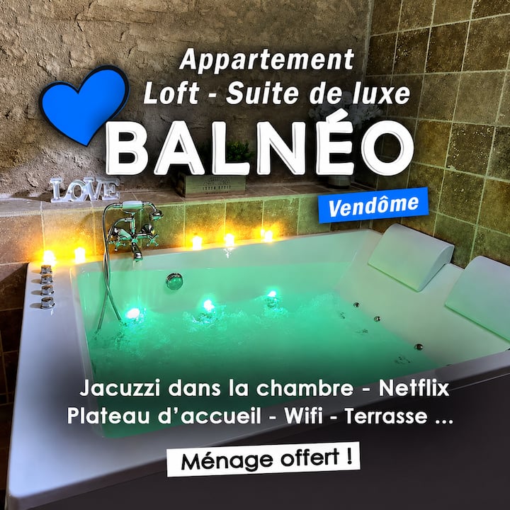 Appartement «&nbsp;Balnéo Vendôme&nbsp;» Avec Jacuzzi - Vendôme