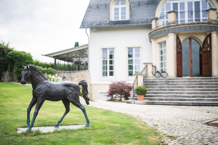 Wohnen Auf Privater Reitanlage - Münsingen