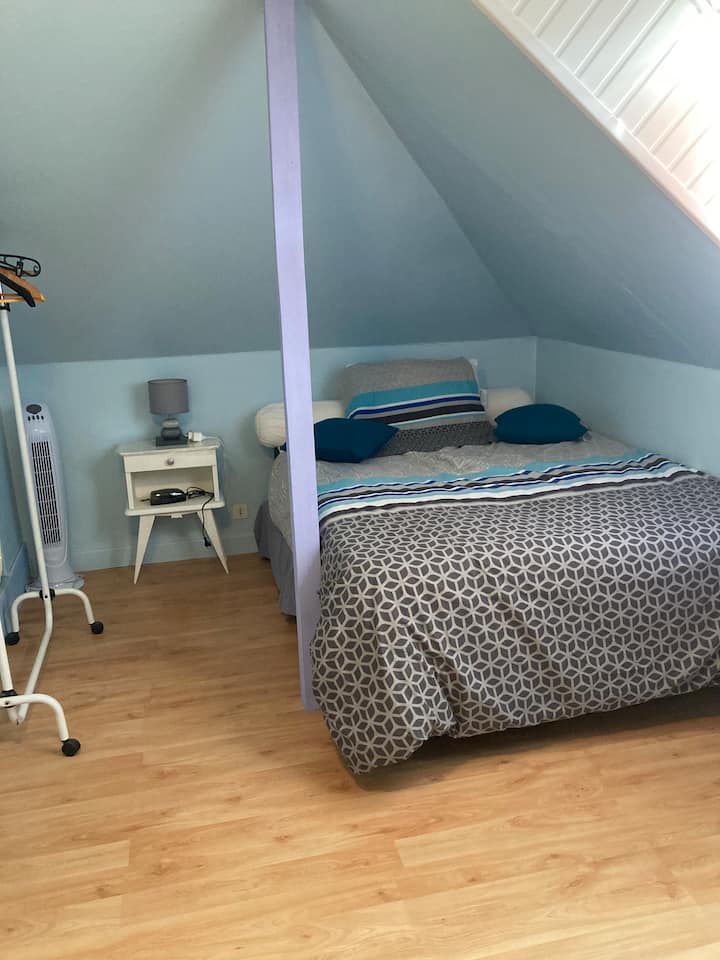 Chambre Au Calme à Louer Pas Moins De 3 Nuits - Auch