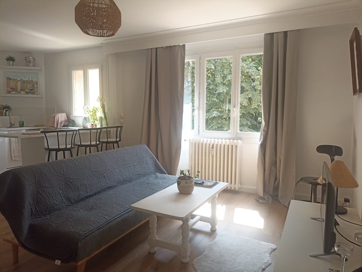 Grand Appartement Dans Le Centre De Valence - Valence
