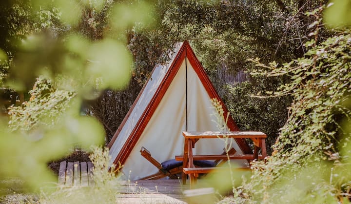 Ventura - Tent - San José de Maipo