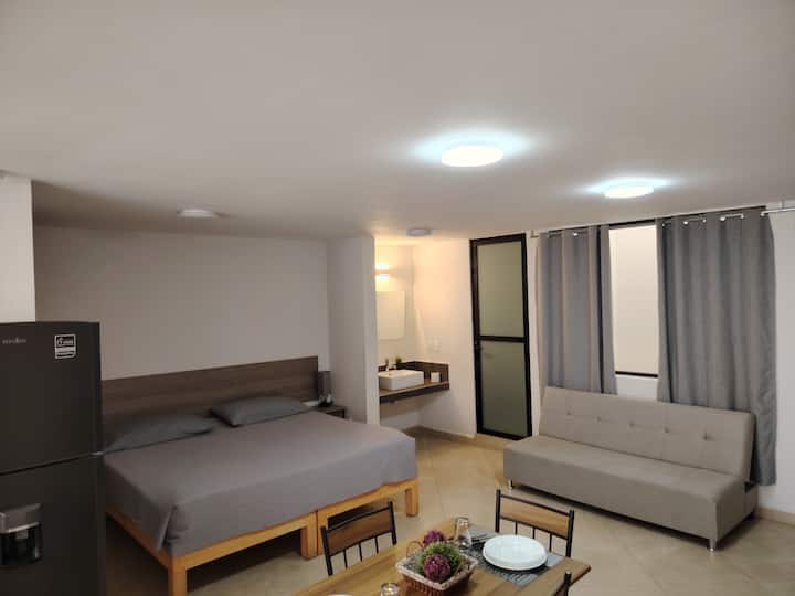 Depto. A 2 Cuadras Av. Carranza  X Casa De Cultura - San Luis Potosí