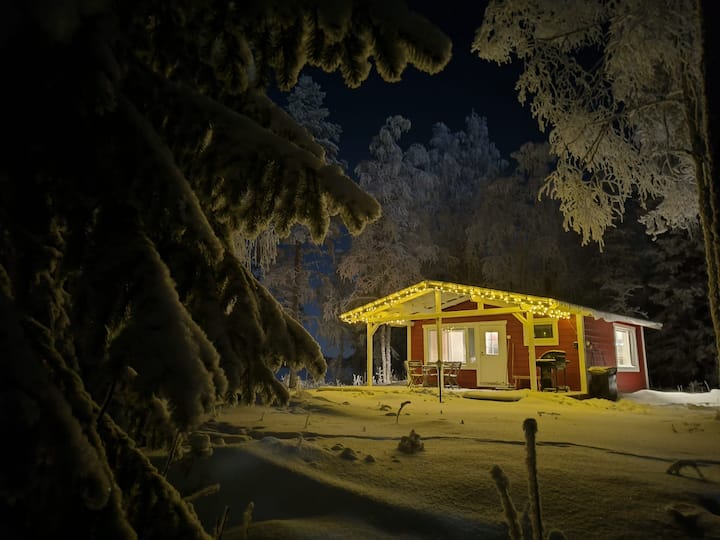 Koivusaari Arctic Island - Finland