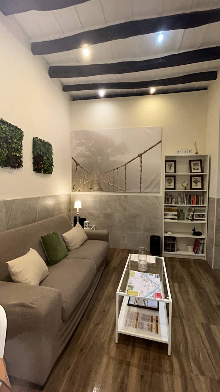Apartamento Centro Sevilla Lanza - Seville