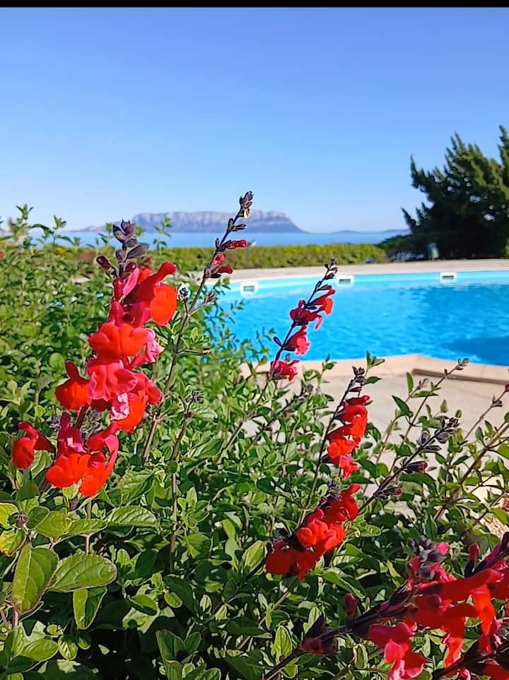 Luxueuse Maison Mitoyenne à 50 M De La Mer - 사르데냐