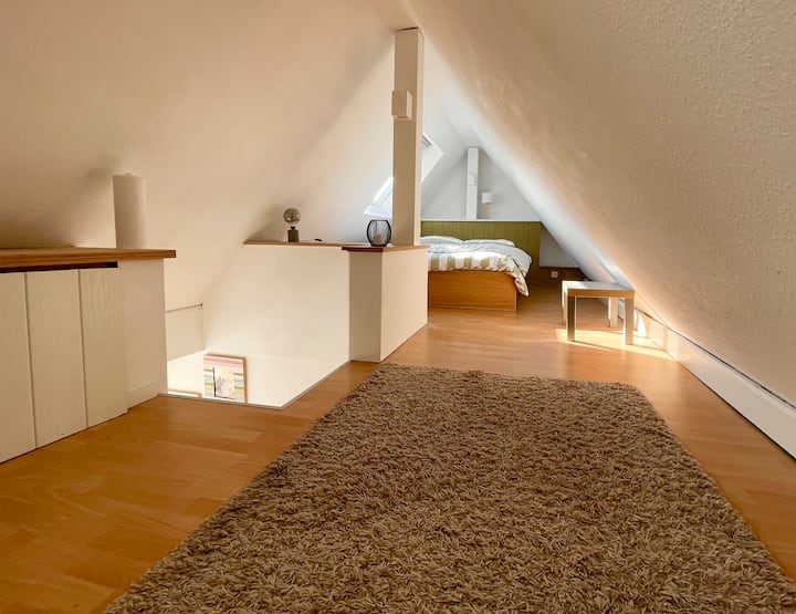 2 Etagen-apartment Nahe Stadion/westfalenhallen - Dortmund