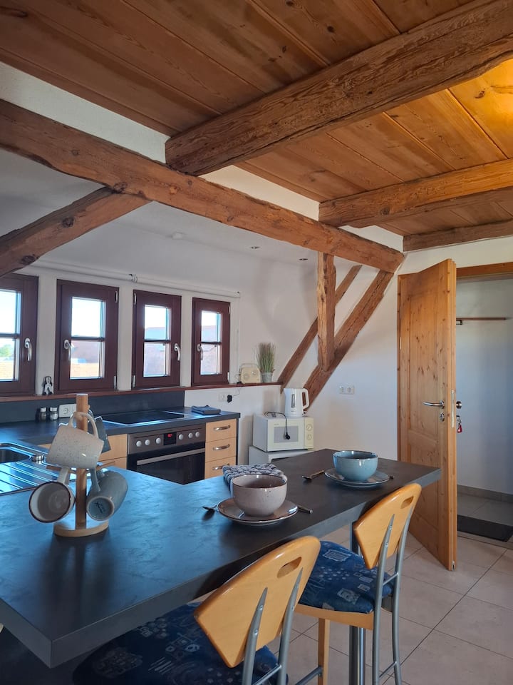 Gemütliche Dachgeschosswohnung - Nuremberg