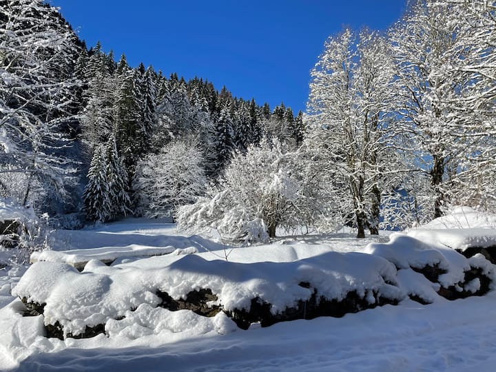 Chambre D’hôte 
La Pointe Du Midi 
( 2 Personnes) - Le Grand-Bornand