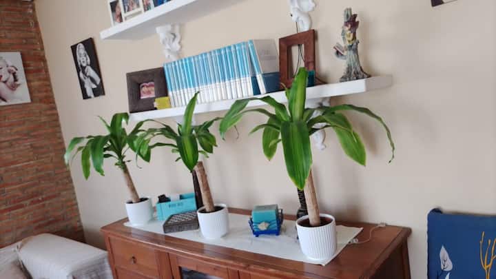 Piso Ideal Familias Capacidad Para 8 3 Km Murcia - Murcia