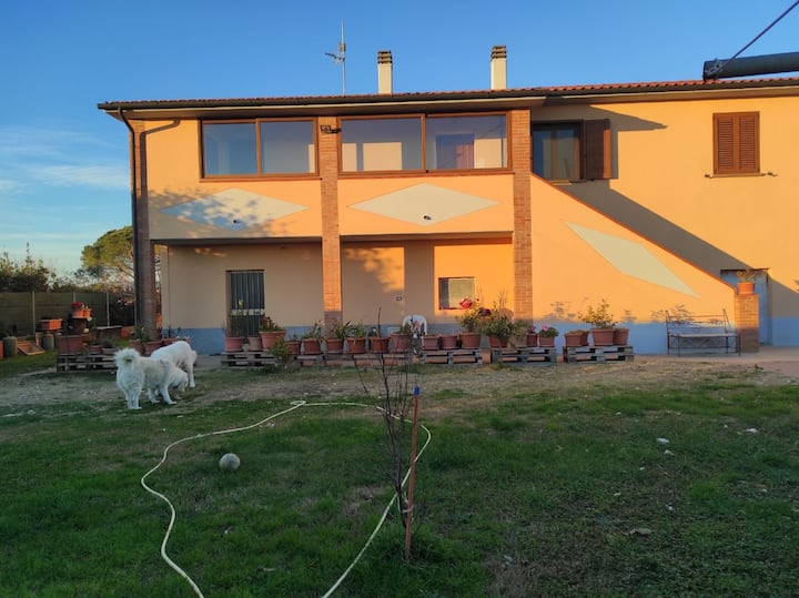 Appartamento Twins - Follonica