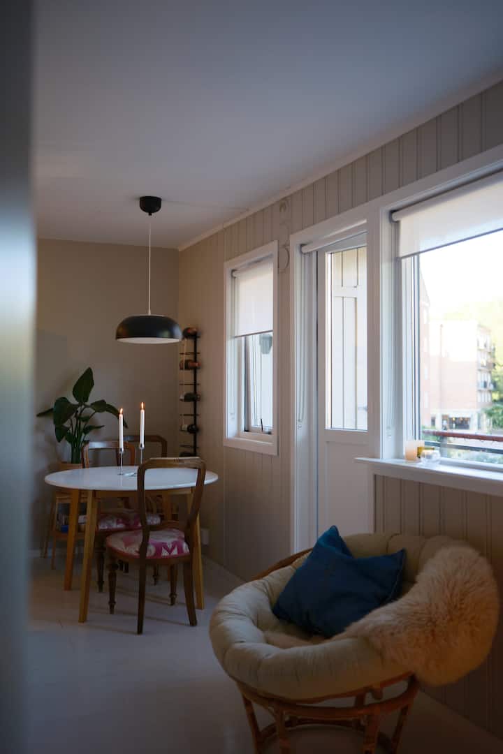 Lys, Romslig 2-roms På Rosenhoff - Oslo