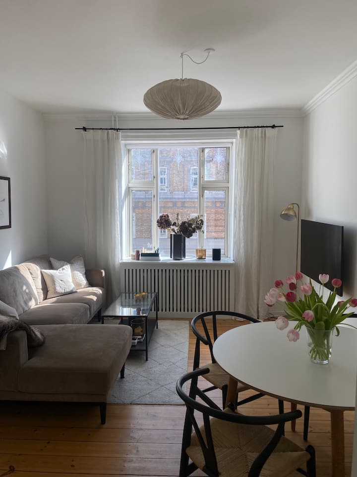 Light Apartment In Copenhagen - Copenaghen