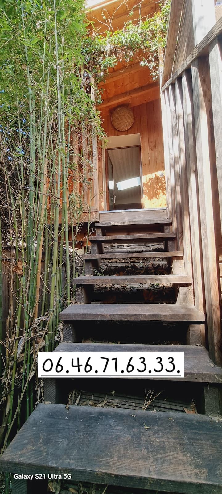 Studio De Charme - Festival d'Avignon