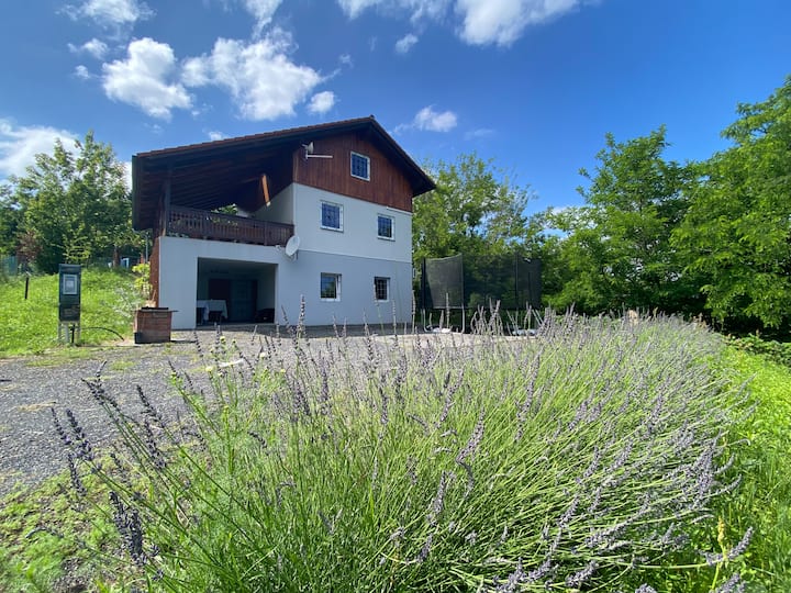 Ginkgo House - Węgry