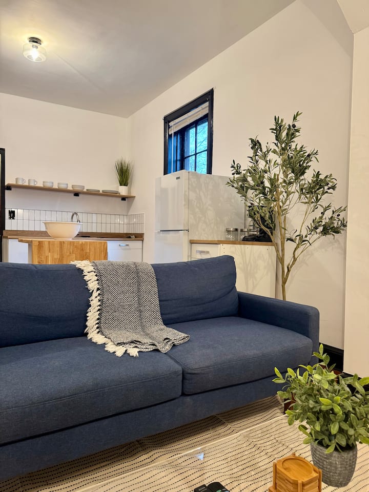 Charming One Bedroom In Downtown Jc - Brooklyn