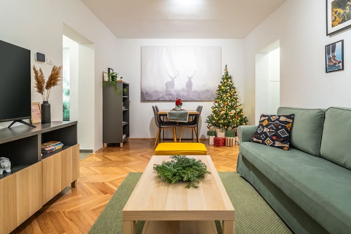 The "Cozy Deer" Apartment W. Netflix & Wifi - Sinaia