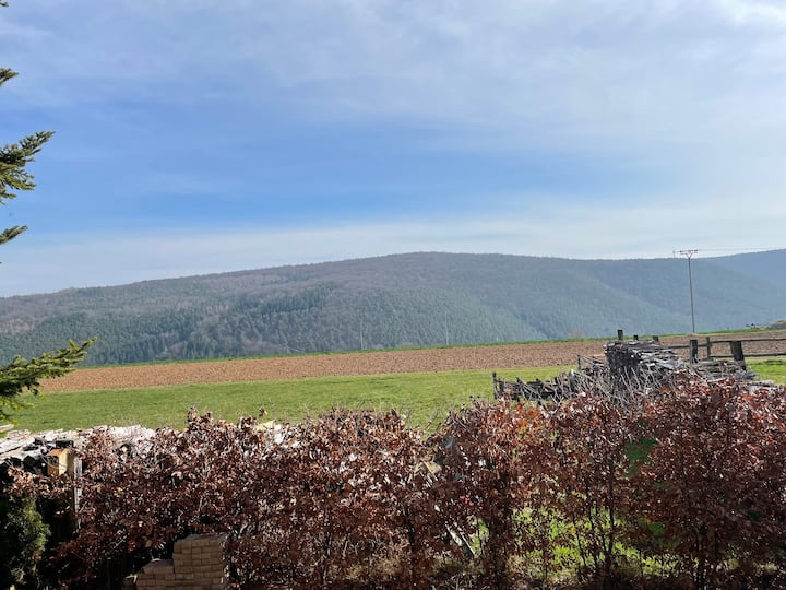 Unterkunft Im Wanderparadies - Freinsheim