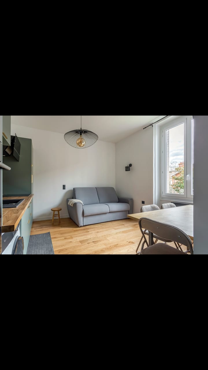 Appartement, Cosy, Lumineux à Deux Pas De Lyon - Lyon