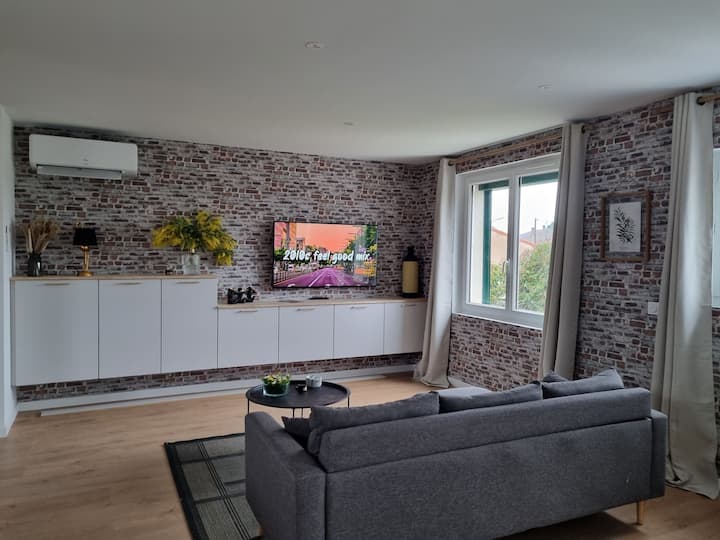 Appartement De Charme - Albi