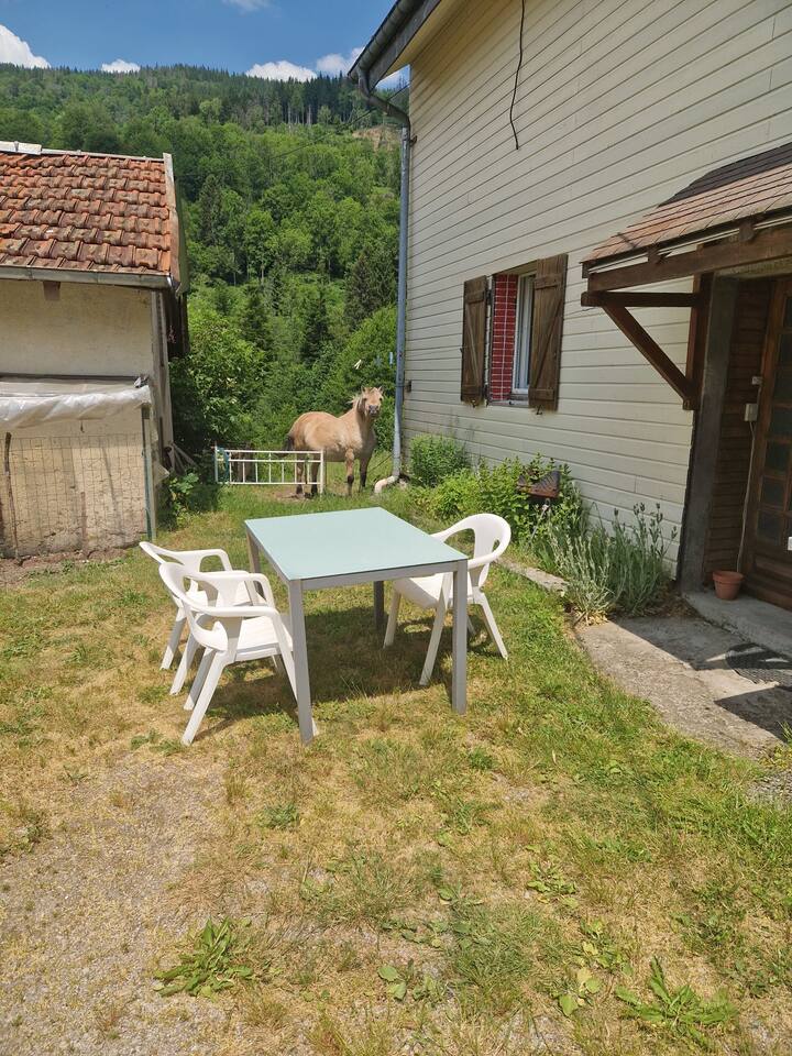 Appartement Proche Des Ballades - La Bresse