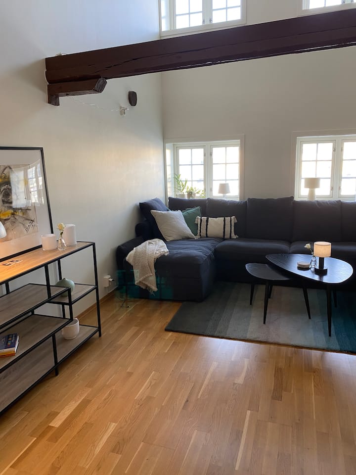 Stilig Bryggeleilighet I Trondheim Sentrum - Trondheim