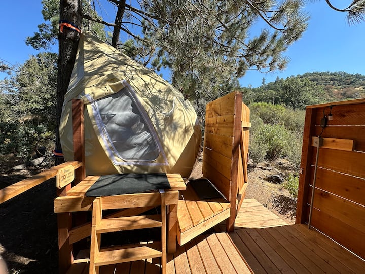 Tree Tent 3 - Shinrin-yoku - Sequoia National Park