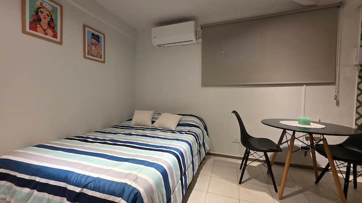 Comfortable Apartment In Mendoza - Mendoza