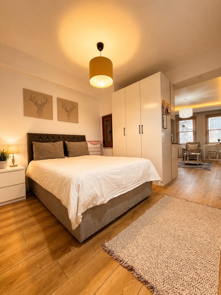 Beyoğlu Central Suites - 1. Kat - Beykoz
