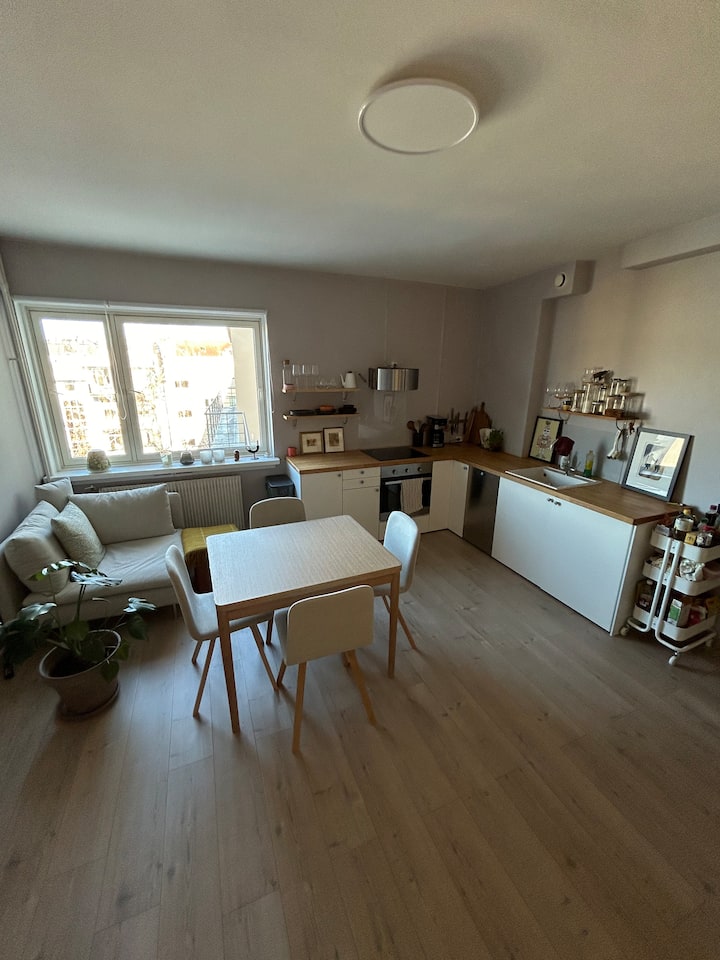 Sentral Studioleilighet - Oslo