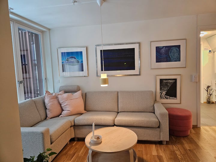 Bo I Nytt Og Moderne, Midt I Sentrum! - Trondheim