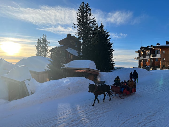 Avoriaz 4 Pers Resid Araucarya - Morzine