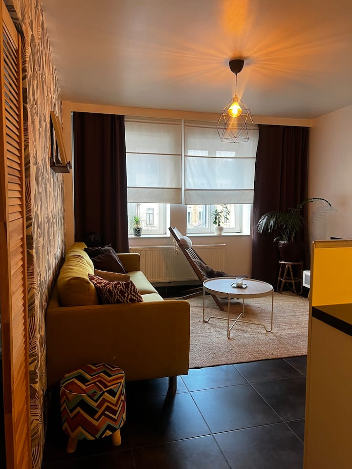 Flat 5 Min From Centrum Of Gent - Gand