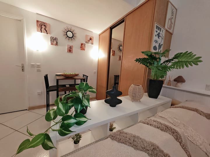 La Grotte Bohème - 150m Du Sanctuaire - Lourdes