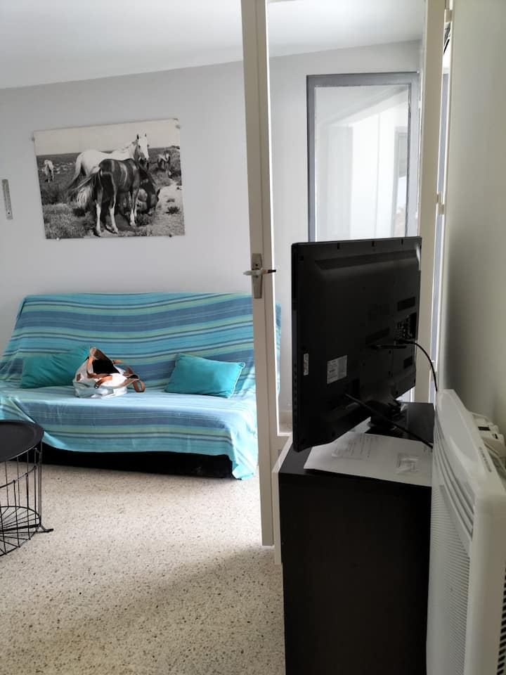 Appartement à 300 M De La Plage - Le Grau-du-Roi