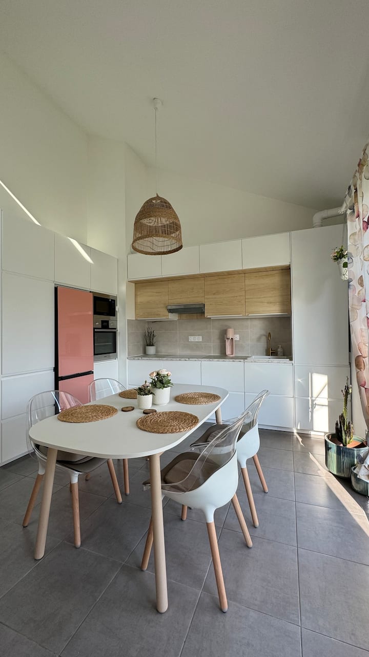 Grande Chambre Avec Tv Chez L’habitant - Toulouse