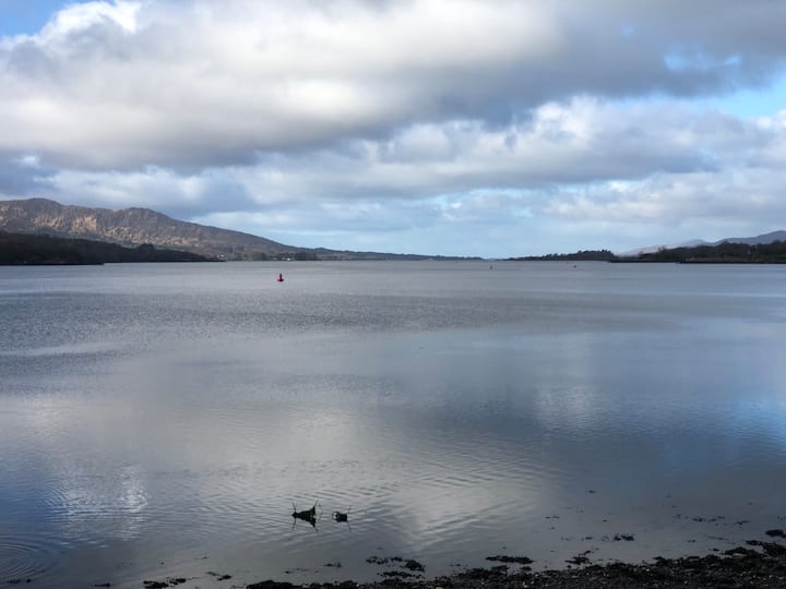 Birch View B&b # 3- Kenmare - Kenmare