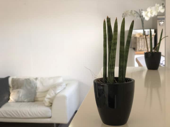 Caleva’s Bnb - Pforzheim
