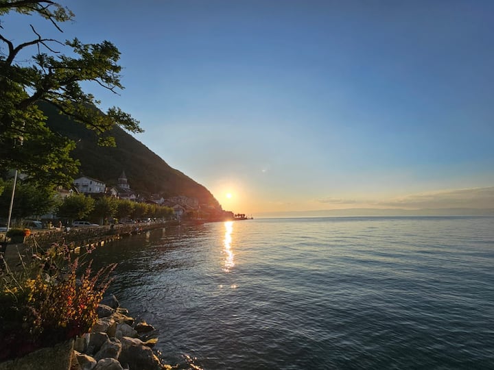 Vue Direct Sur Le Lac Leman! Deux Appartements - Thollon-les-Mémises