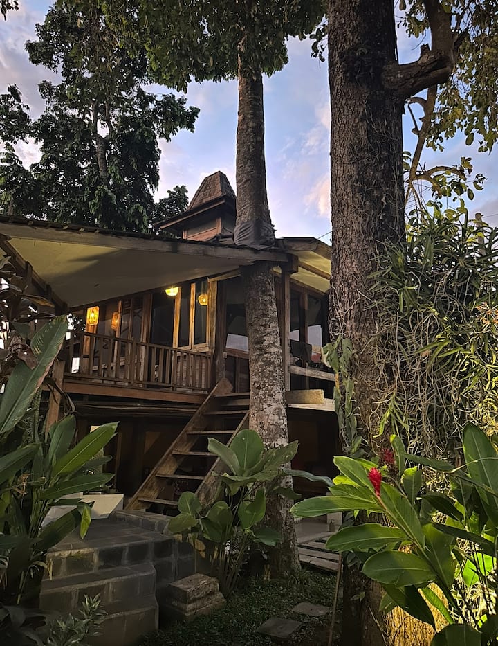 Unique Treehouse In Canggu - Canggu