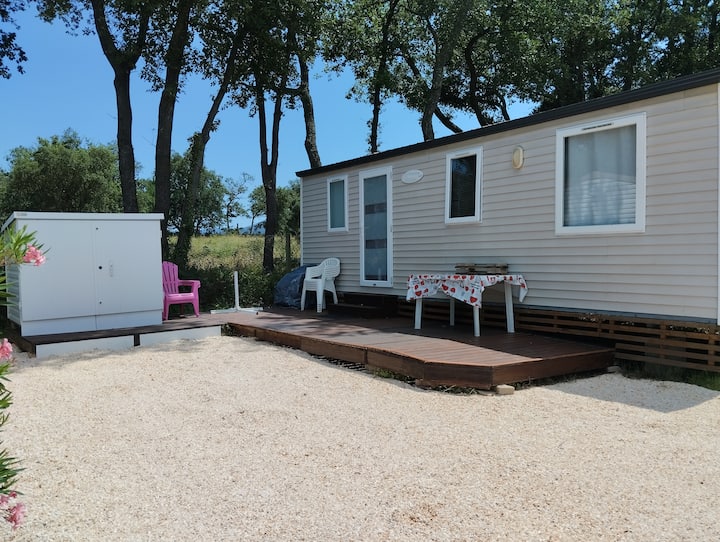 A Louer
Argeles/mer Mobilhome
Camping Clos Du Thym - Argelès-sur-Mer