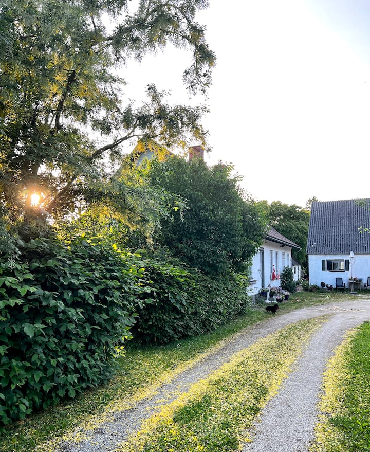 Stay At Bolette’s Farm With Chicken-rabbit 2r. 5 P - Danemark