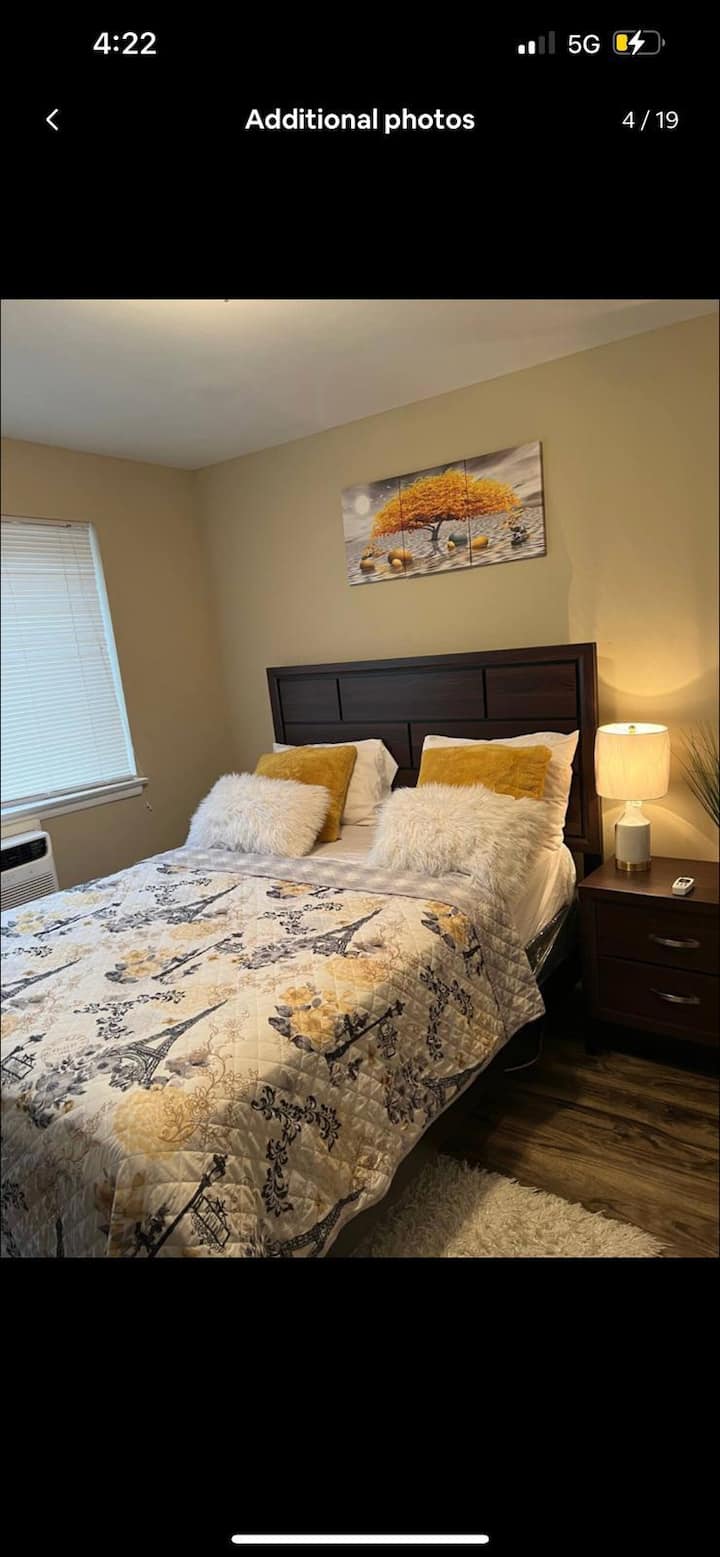 Luxury Apartment - Evanston, IL