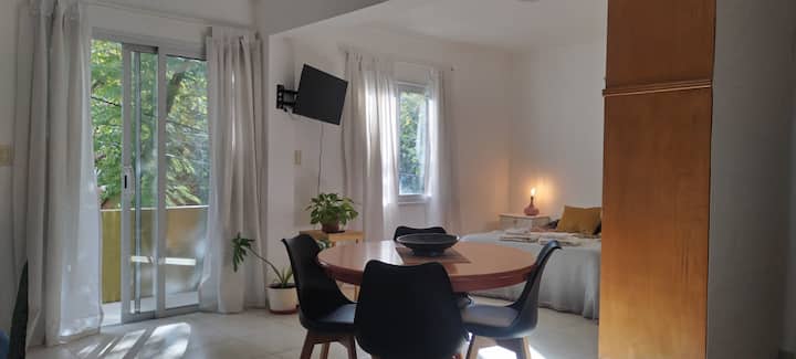 Luminoso Departamento Céntrico - Mendoza