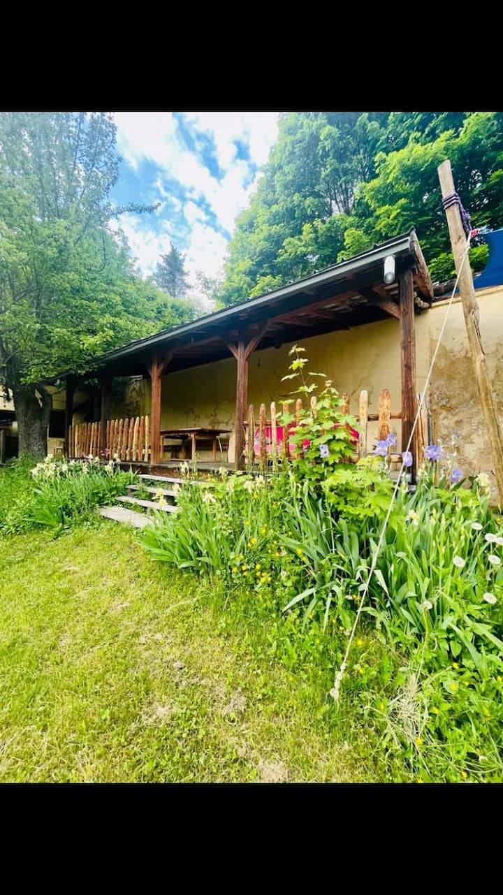Maison Serre Chevalier Briançon - Puy-Saint-Vincent