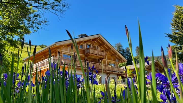 Vue Mont Blanc•duplex 6 Pers•chalet Moderne•jardin - Lac de la Gittaz