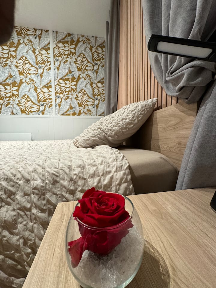 Apparemment Cosy Le 57 - Brest