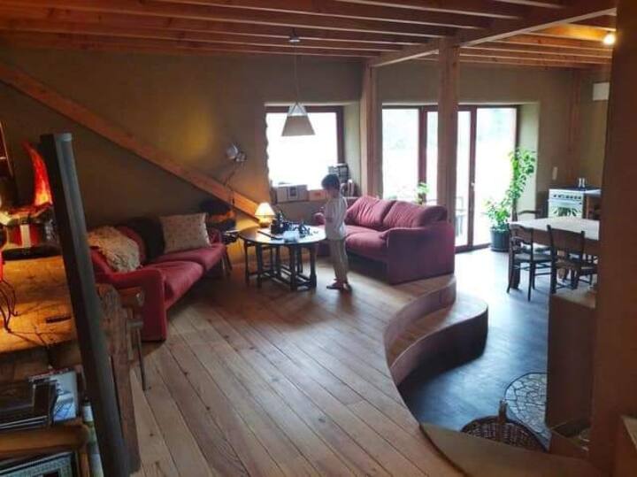 Un Nid Douillet à Arbre - Namur