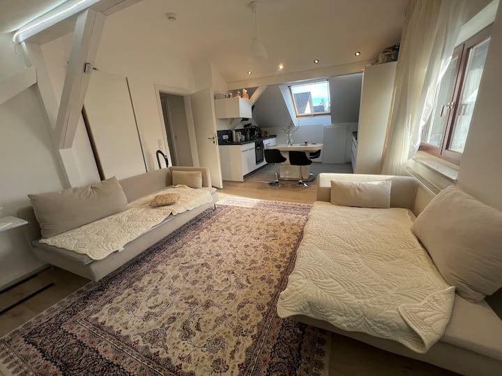 Cuzy Apartment, 3 Min To S4, S6, 24 Min To Hbf - Feldkirchen